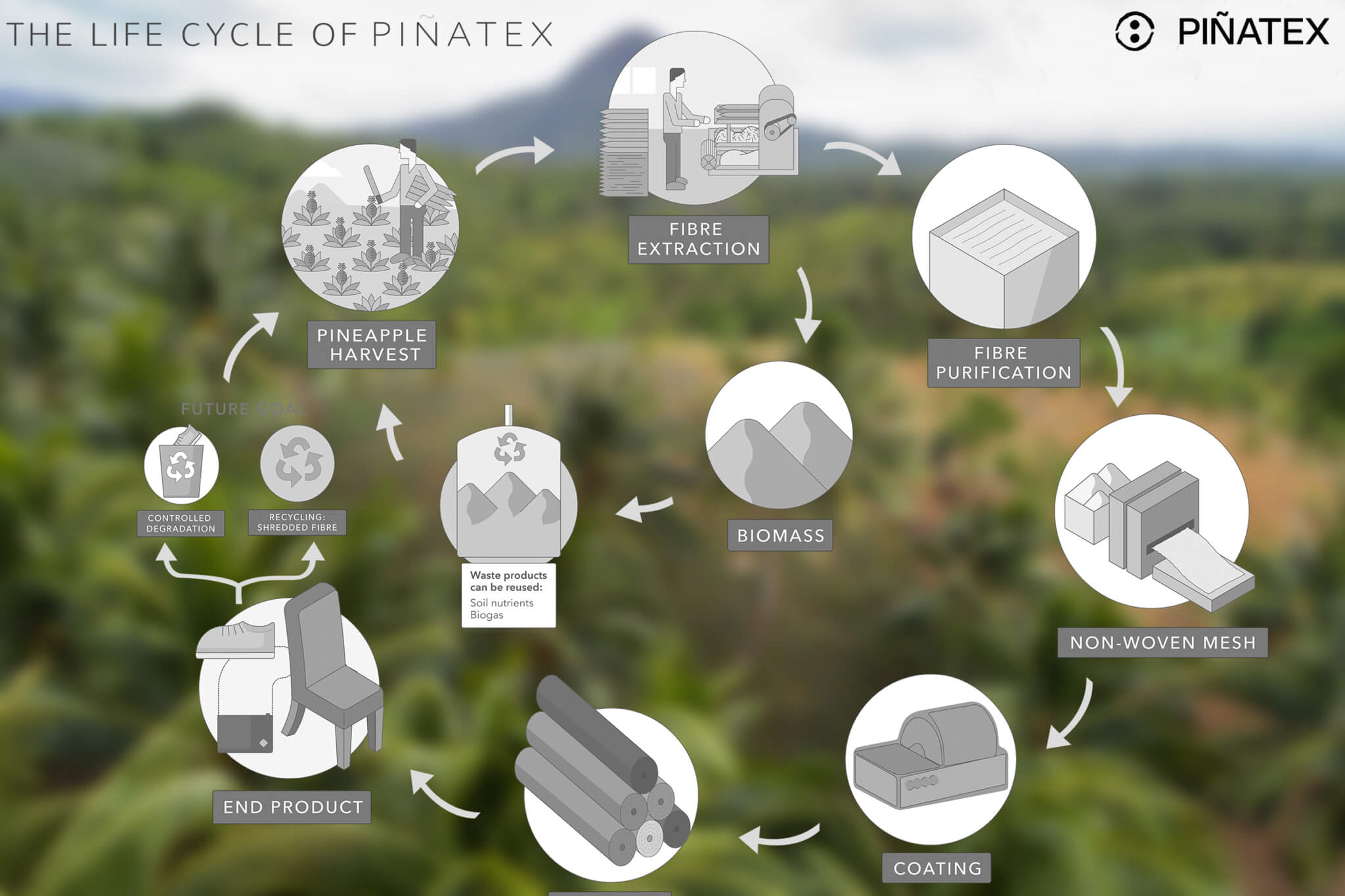 Wie wird Piñatex® hergestellt? - vegane Alternative zu Leder